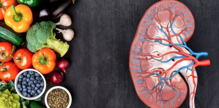 Dietary Guidelines for Kidney Disease