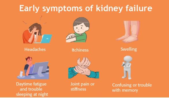 Early Signs and Symptoms of Kidney Disease